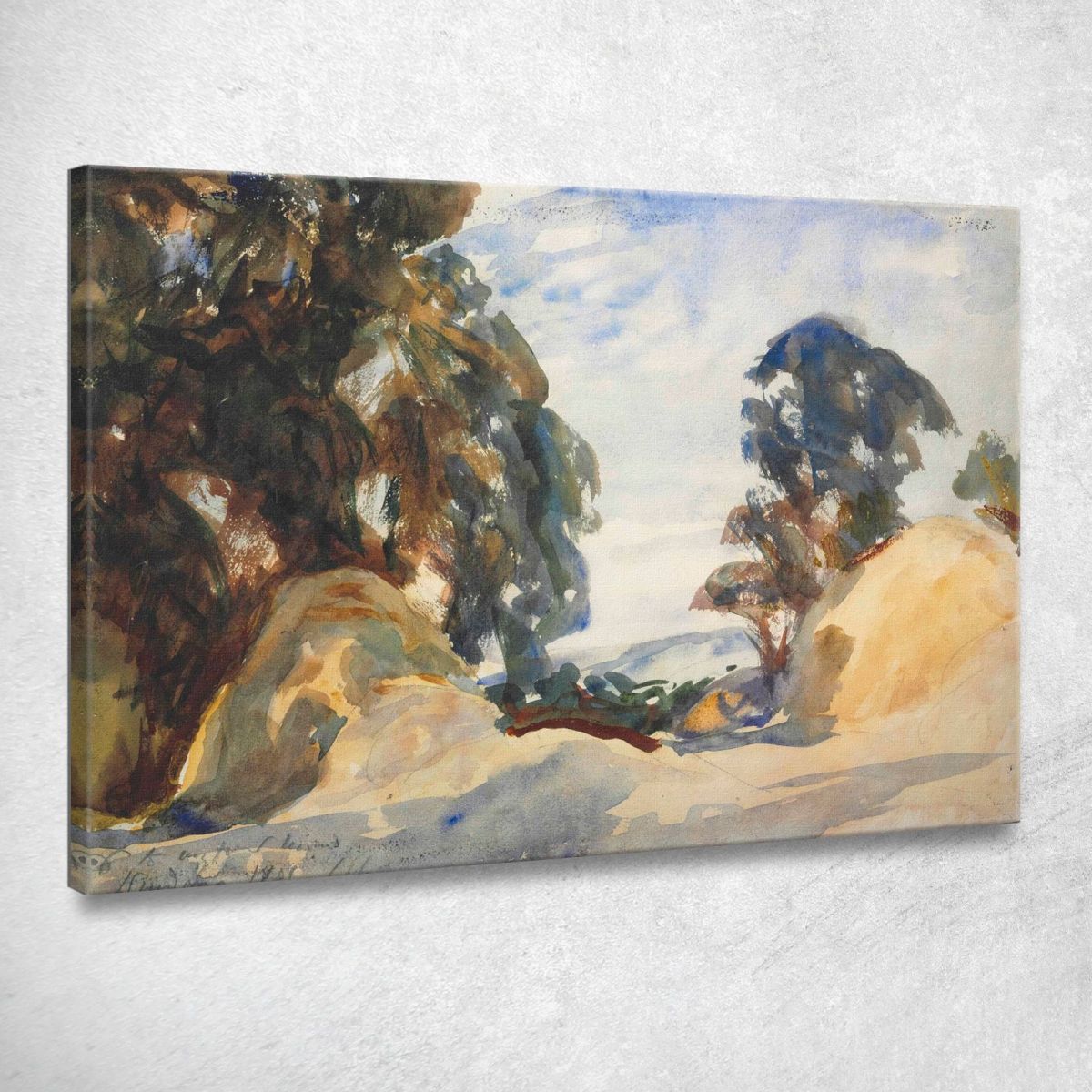 Landscape With Trees John Singer Sargent canvas print