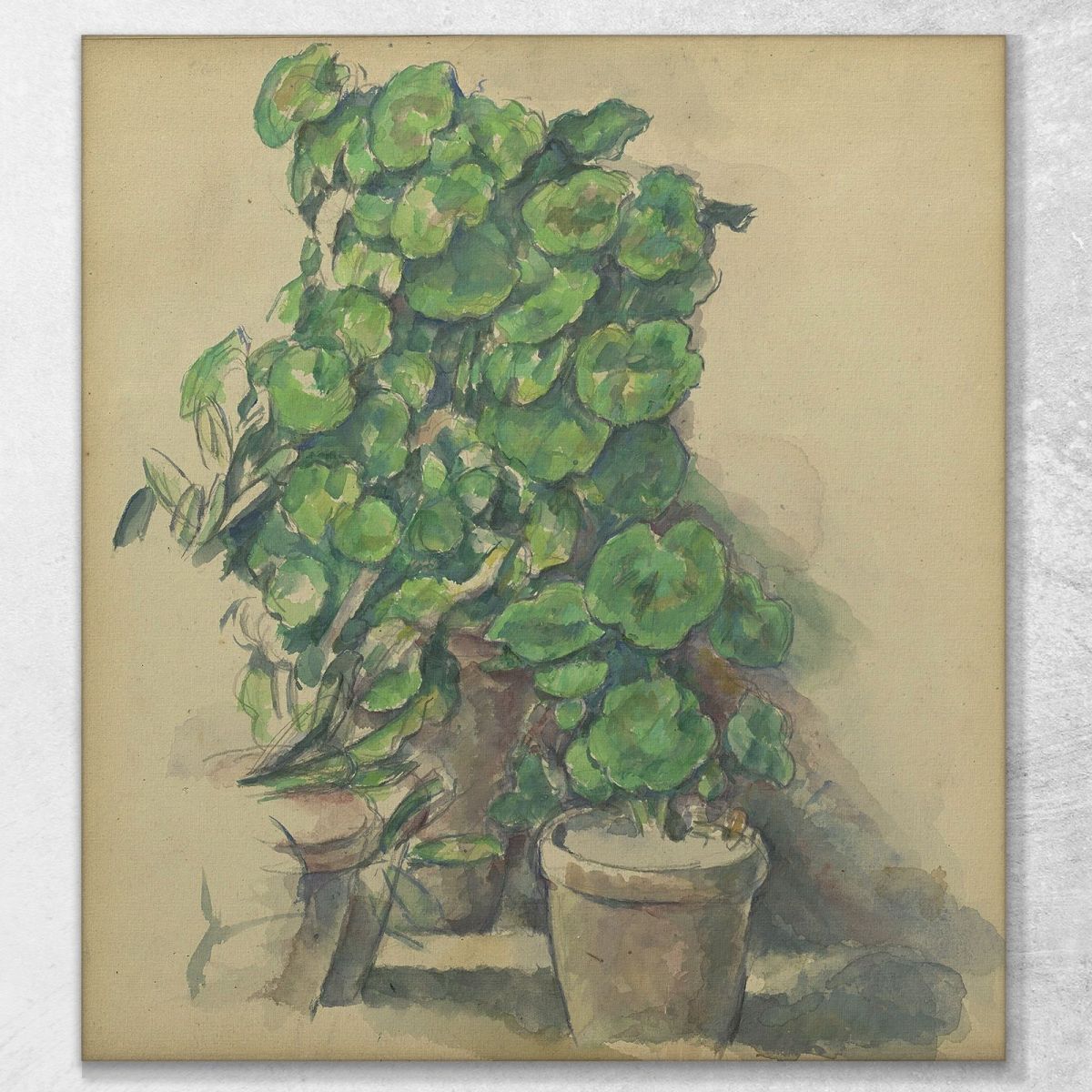 Geraniums Paul Cézanne canvas print